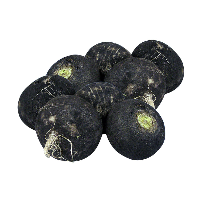 Schwarzer Rettich aus eigenem Anbau | Lebe Gesund Versand